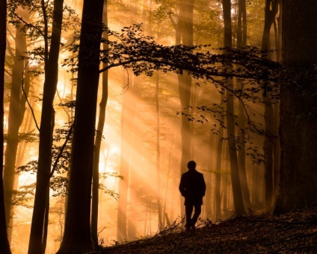 “The gift that keeps on giving, Clark.” – …my temporary assignment.